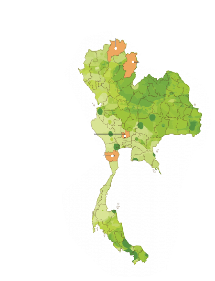 Networking & Learning - phetchaburicreativecity