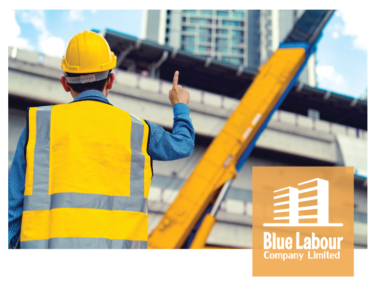 blue-labour