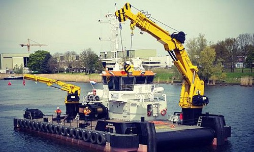 Heila Cranes - Sevenoaks