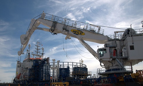 Heila Cranes - Sevenoaks