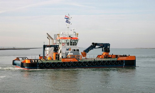 Heila Cranes - Sevenoaks