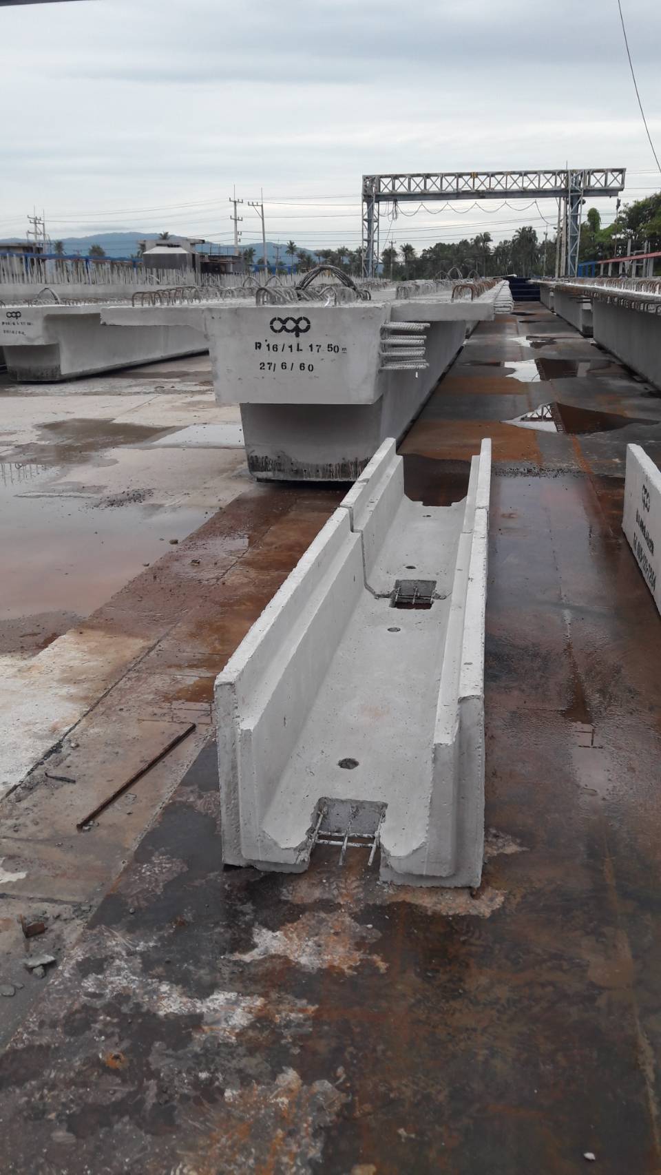 รางสายไฟฟ้าคอนกรีต (Electric Cable Gutter) - kanyongh