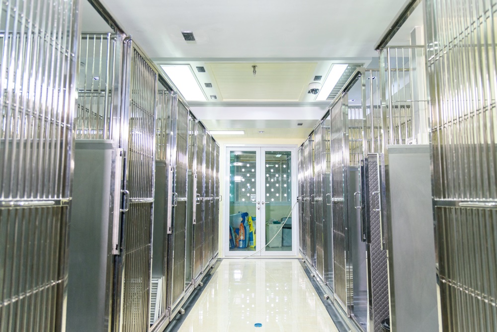 บริการดูแลสัตว์ป่วยทั่วไป และสัตว์ป่วยหลังผ่าตัด 24 ชั่วโมง ...