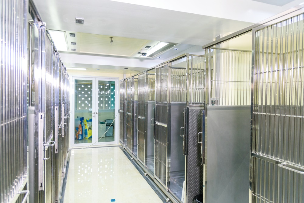 บริการดูแลสัตว์ป่วยทั่วไป และสัตว์ป่วยหลังผ่าตัด 24 ชั่วโมง ...