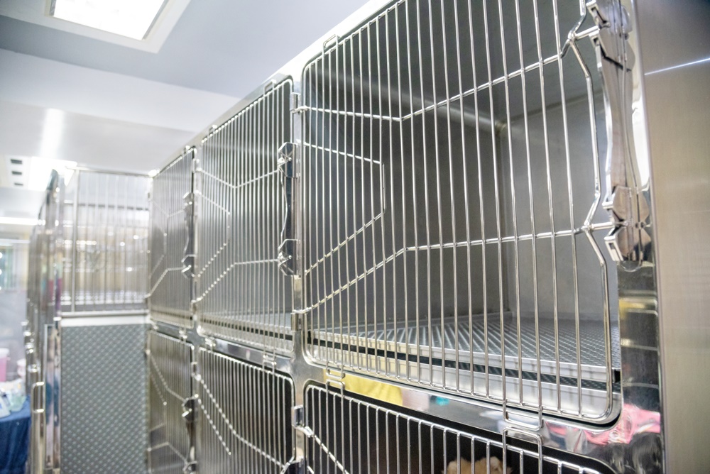 setthakitanimalhospital - setthakitanimalhospital