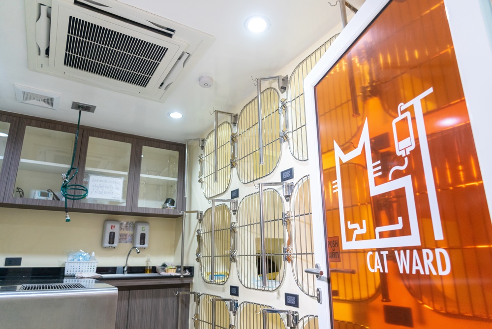 บริการดูแลสัตว์ป่วยทั่วไป และสัตว์ป่วยหลังผ่าตัด 24 ชั่วโมง ...