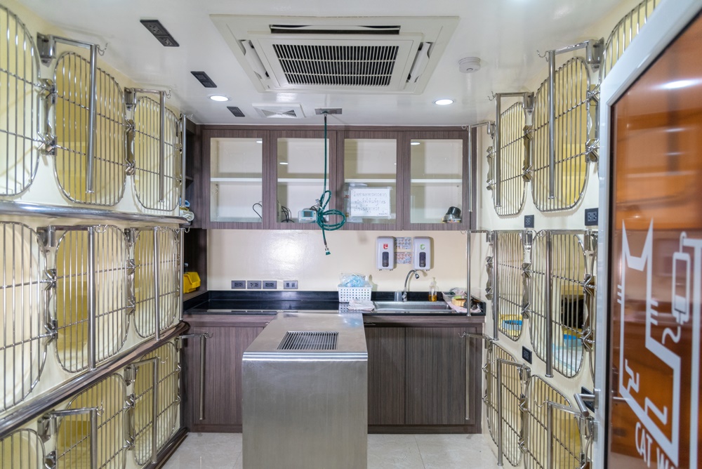 บริการดูแลสัตว์ป่วยทั่วไป และสัตว์ป่วยหลังผ่าตัด 24 ชั่วโมง ...