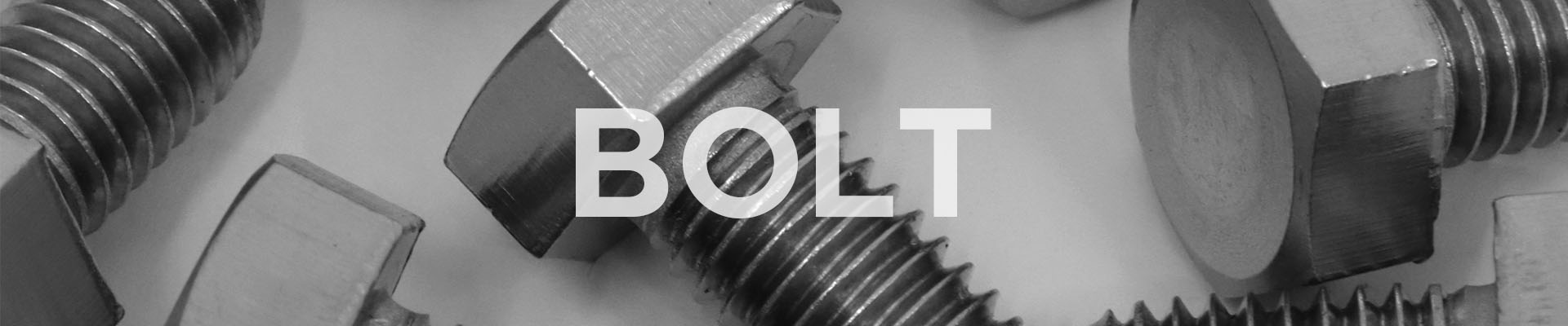 Hanshin Neji │ Japanese Fasteners Company