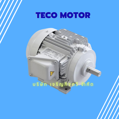 Teco Motor - cktmotors