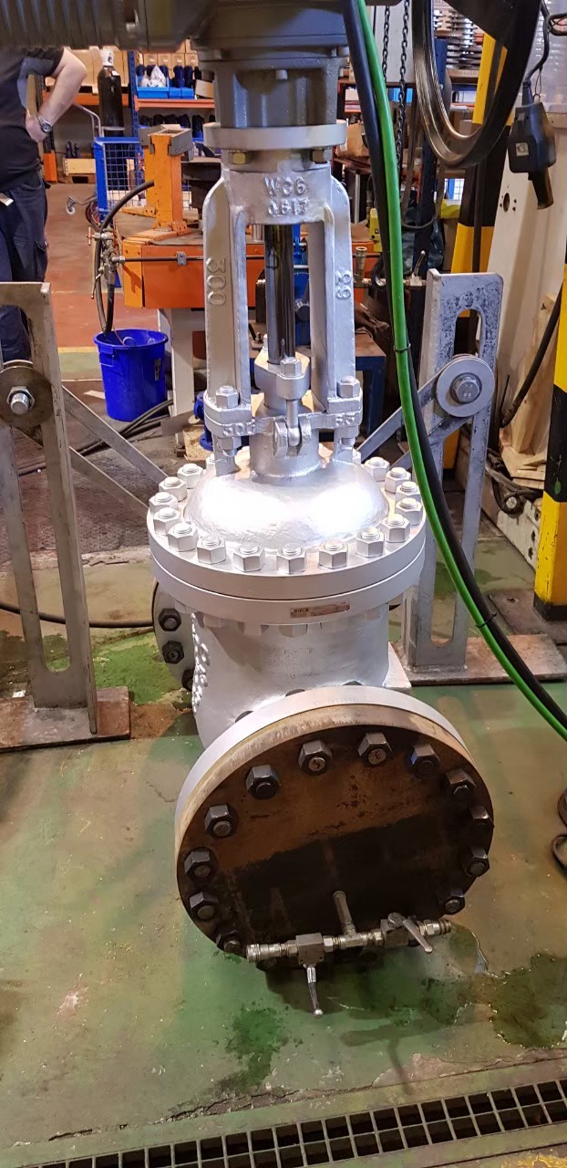 FMC had Witness Trip at Comeval factory Spain - flowmatic-control