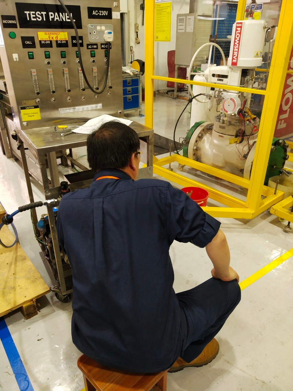 FMC had inspection test Flowserve Control valve 12inch at Flowserve ...