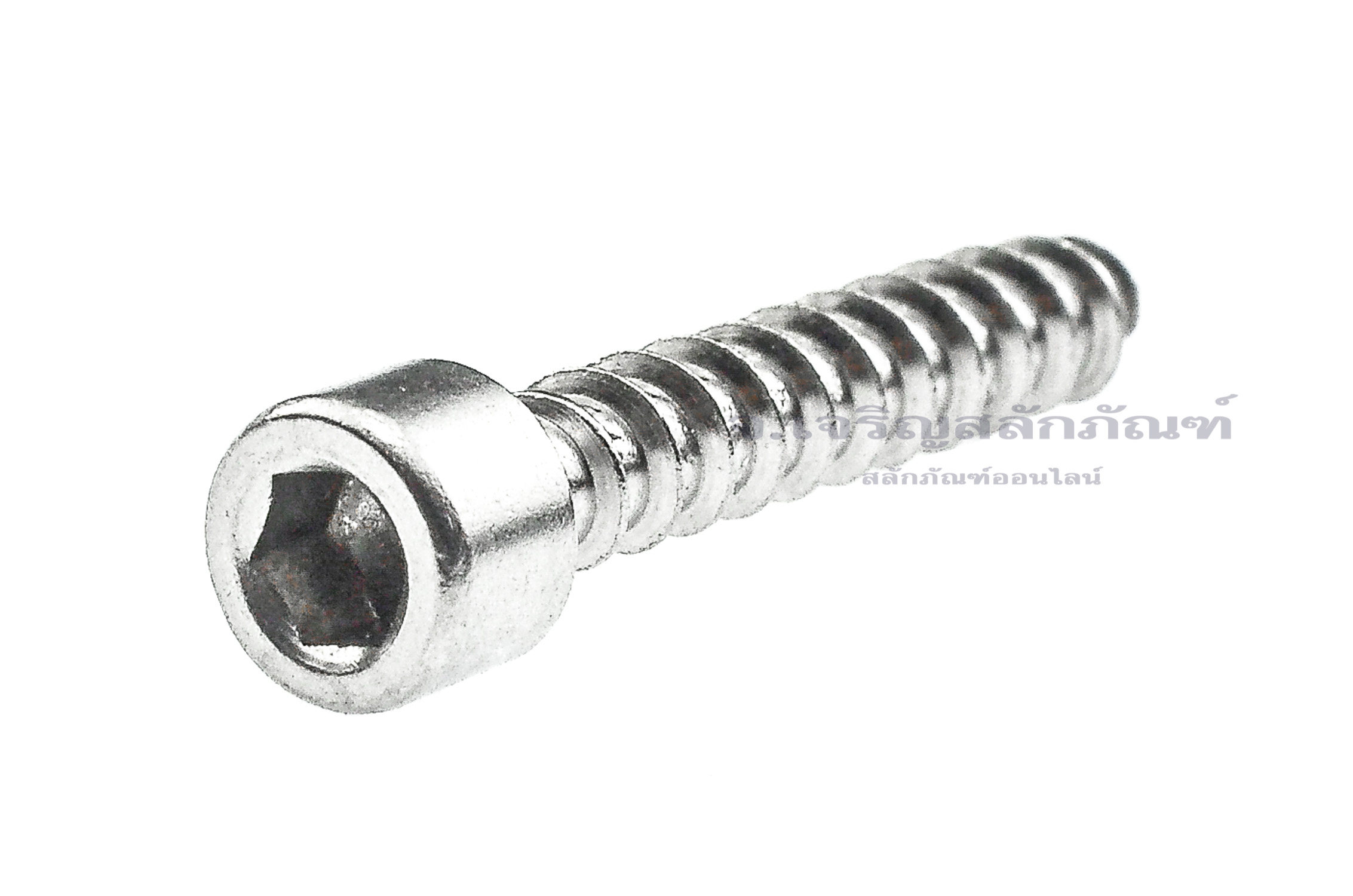 สกรูเกลียวปล่อยหัวจมสแตนเลส (Hex Socket Self Tapping Screw) M6x35 ...