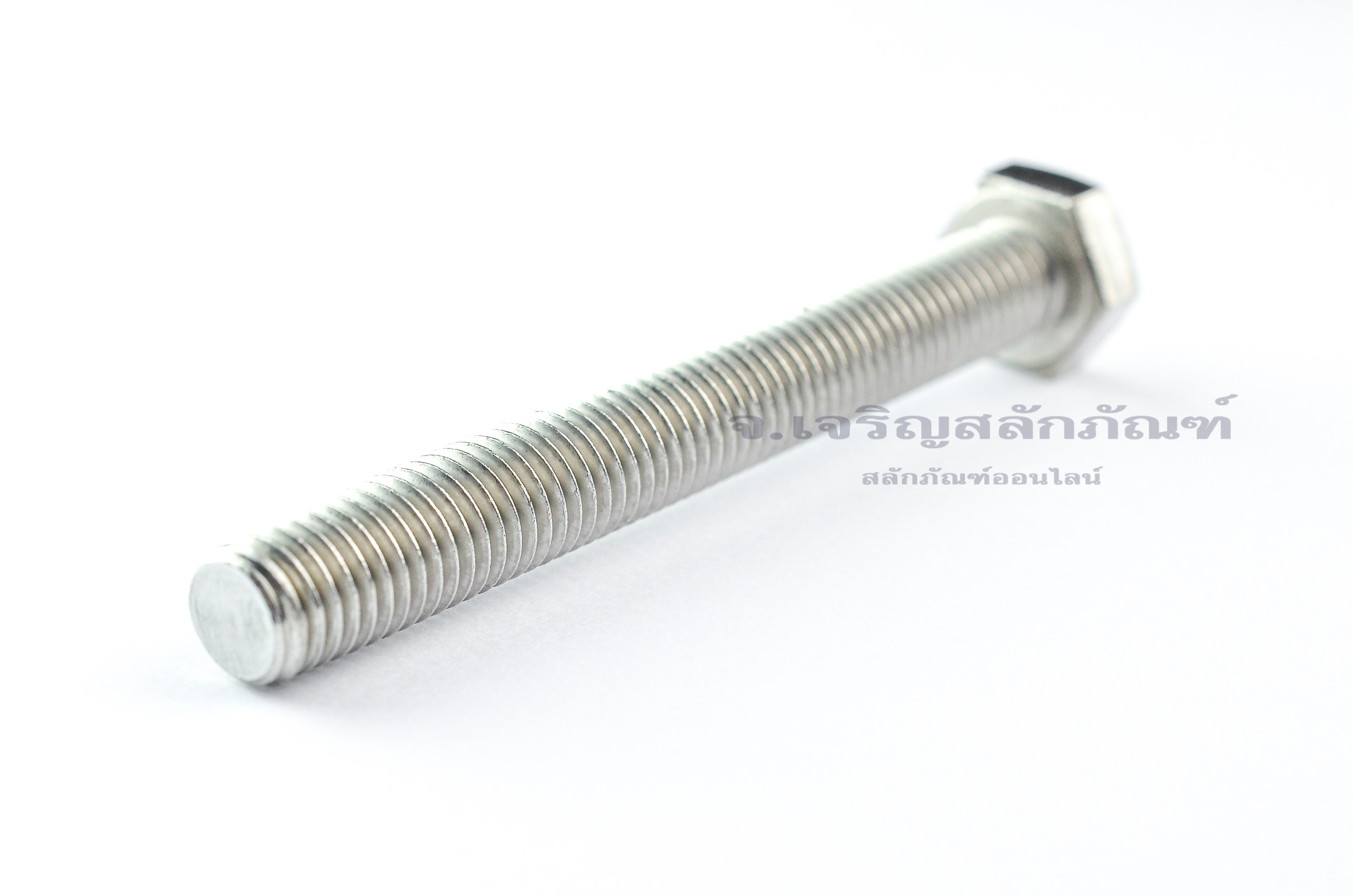 น็อตหัวเหลี่ยมสแตนเลส Stainless Steel Hex Bolt M12x100 - jspstore