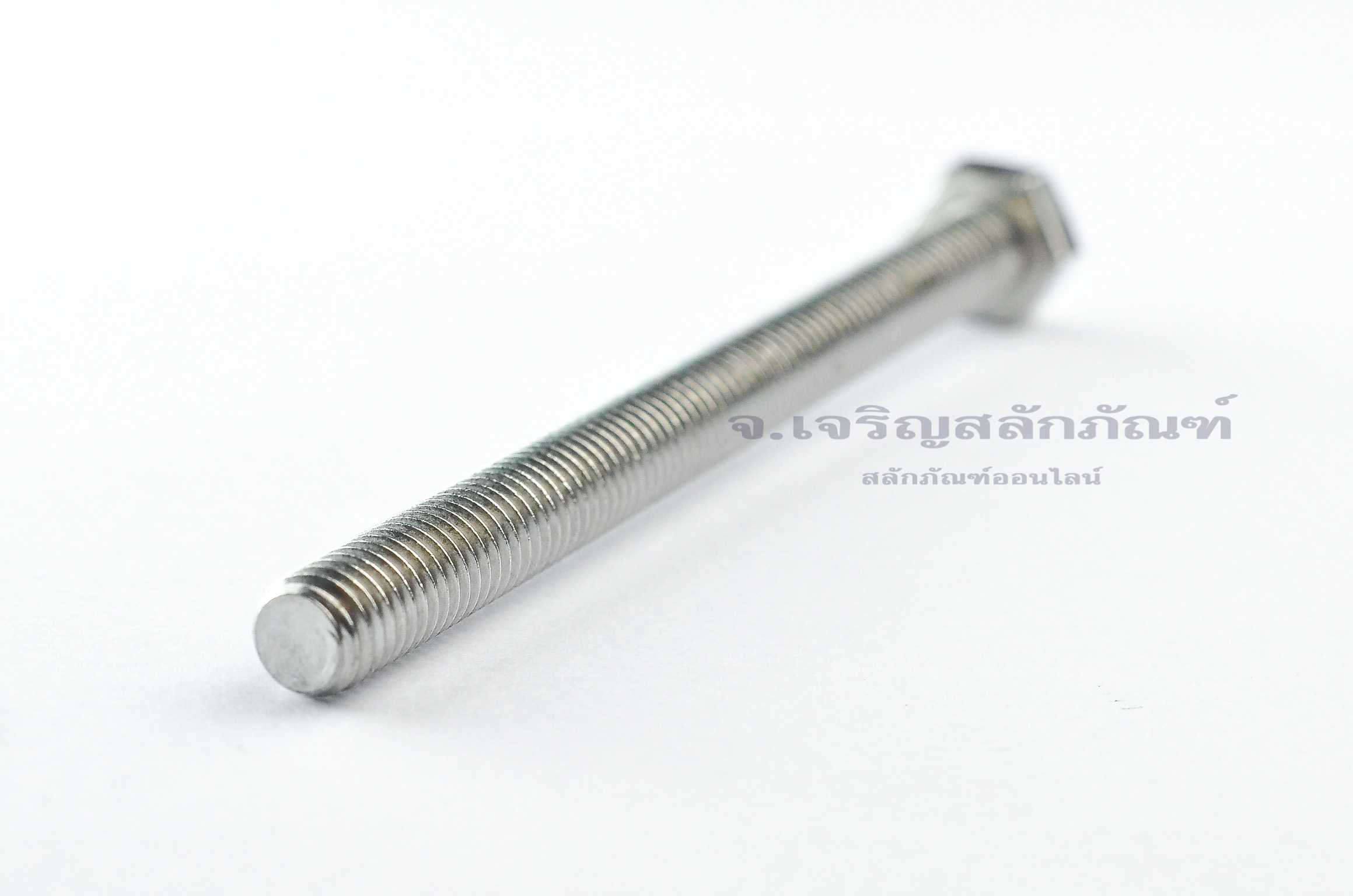 น็อตหัวเหลี่ยมสแตนเลส Stainless Steel Hex Bolt M8x110 - Jspstore