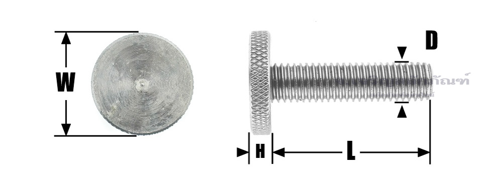 น็อตมือหมุนสแตนเลส หัวทรงกระบอกแบน (Stainless Steel Flat Cylinder Knob ...