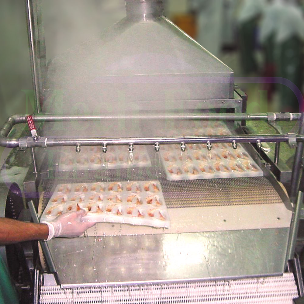 STEAM TUNNEL COOKER - mechfood