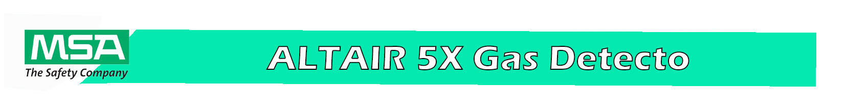 ALTAIR 5X Gas Detector - detectionsafe