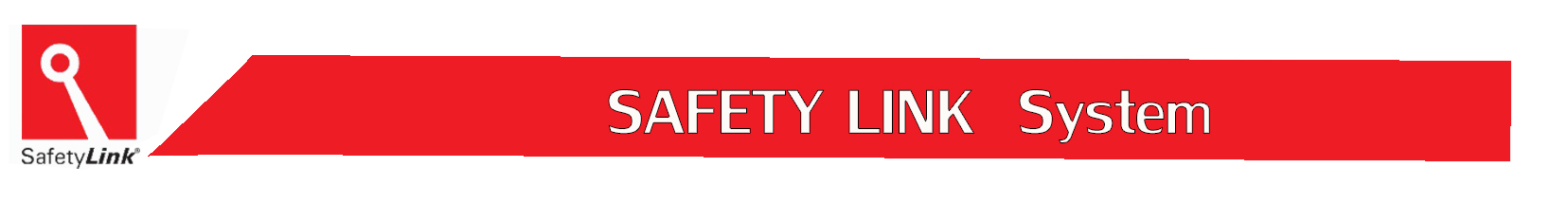SAFETY LINK system - detectionsafe