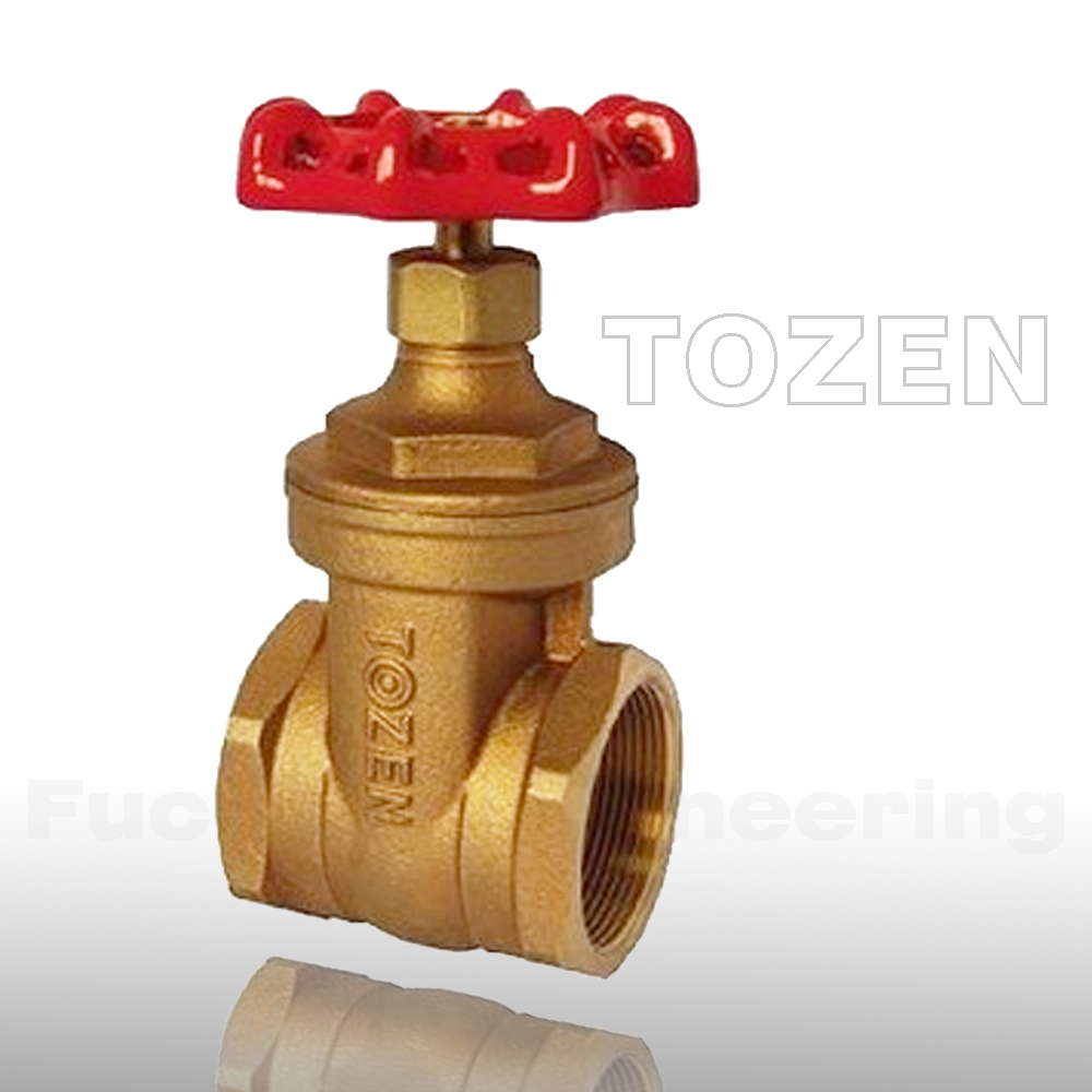 TOZEN - GATE VALVE - fucons