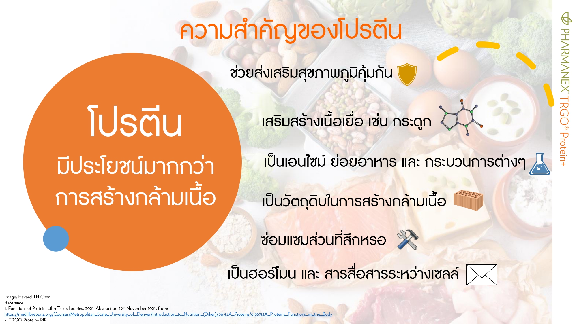 โปรตีนเสริมจากพืช TRGO Protein+ [ทีอาร์โก โปรตีน พลัส] - secret2young