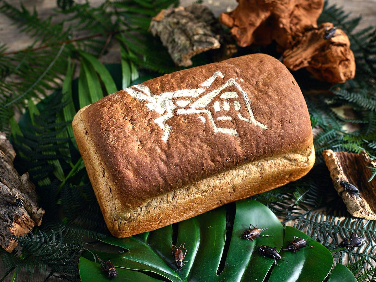 Cricket Flour Bread Recipes | Besto Blog