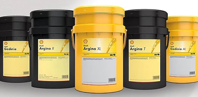 Shell Argina X - thaibearingtech01