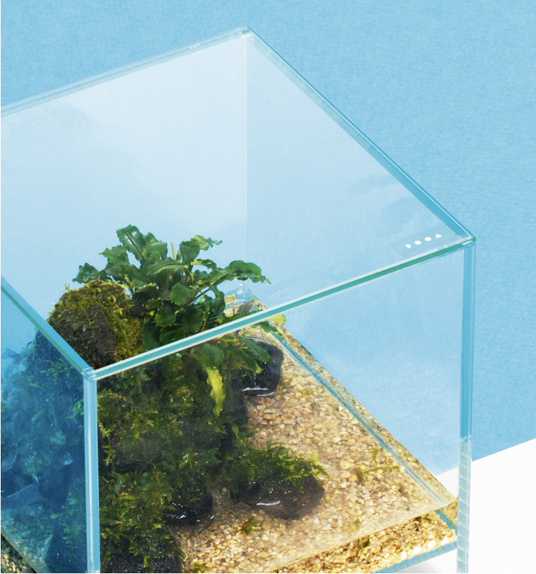 DOOA GLASS POT MARU - atlantis-jj-market