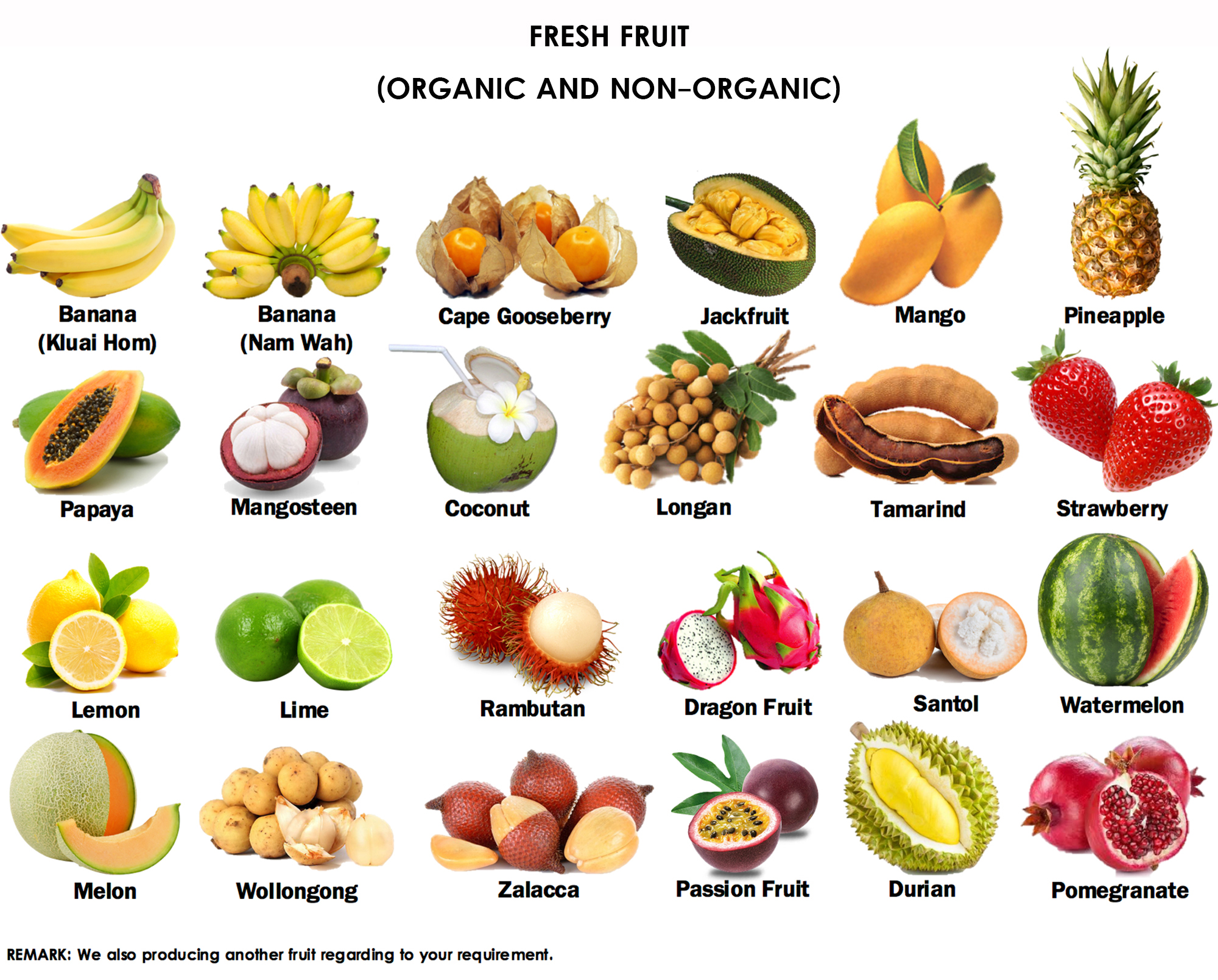 FRESH VEGETABLE, HERB AND FRUIT - halo-corp