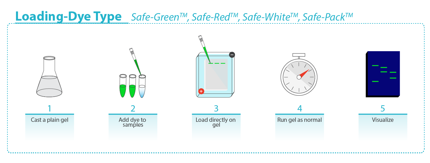 Safe-Red,1.0 ml - smartscience