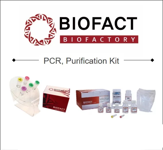 BioFACT™ dNTP set (each 100mM), 1 mL x 4 ea - smartscience