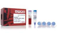 BioFact™ 6X Loading dye (Bromophenol blue), 1 ml x 2 tube - smartscience