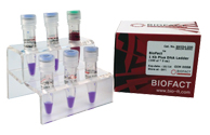 BioFact™ 1Kb Plus DNA Ladder, 0.1 ml x 5 ea - smartscience