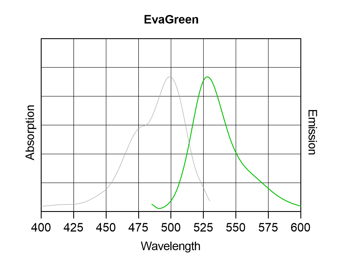 EvaGreen® Dye, 20X in Water, 1 mL, trial size - smartscience