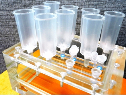 Presto™ cfDNA/RNA Extraction Kit - smartscience