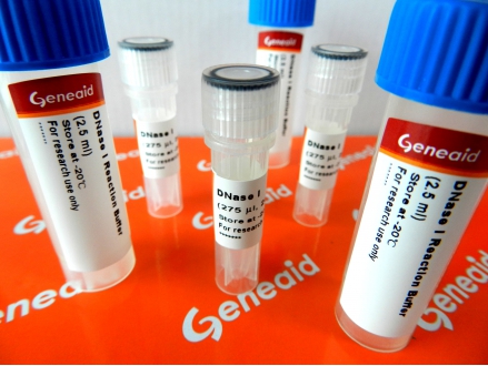 RNase-Free DNase I Set - smartscience