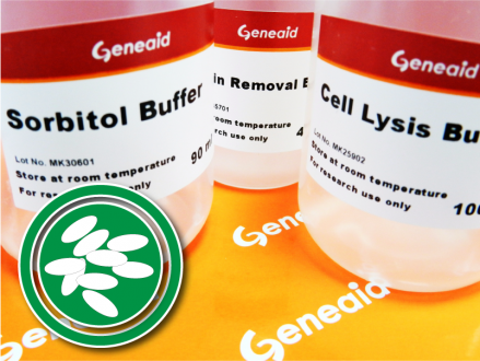 Geneaid™ DNA Isolation Kit (Yeast) - smartscience