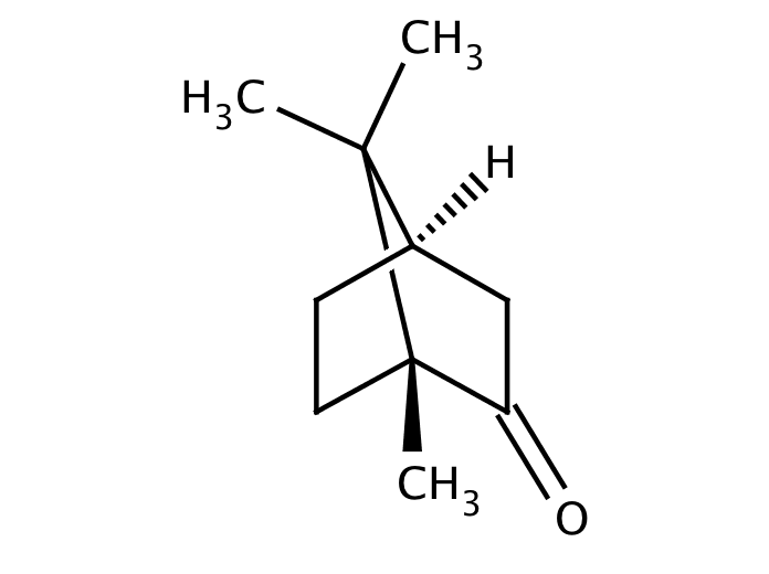 Camphor - smartscience