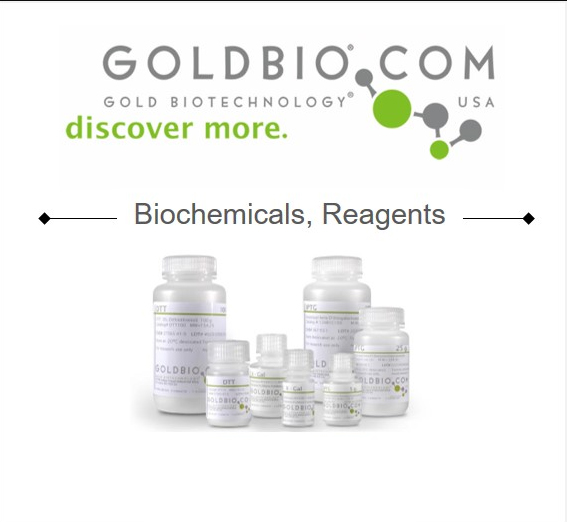 8% Agarose Beads, Standard - Smartscience