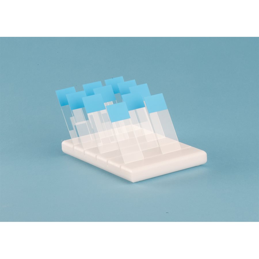 Slide Holder for 78 Slides, Natural - smartscience