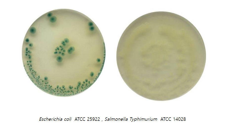 BCIG Agar (Color T.B.X Agar) - smartscience