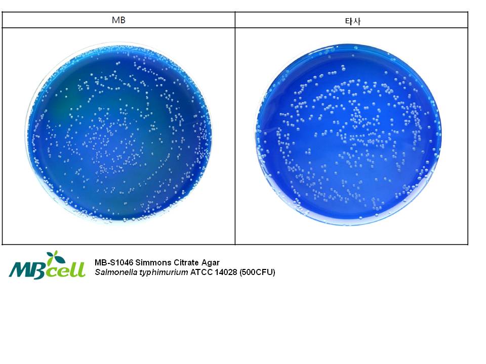 Simmons Citrate Agar - smartscience