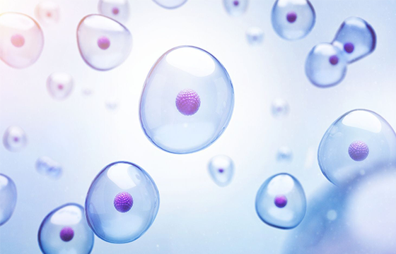 smartscience - smartscience