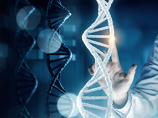 Service - smartscience