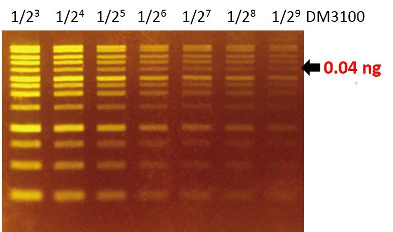 FluoroStain™ DNA Fluorescent Staining Dye (Green, 10,000X), 500 μl ...