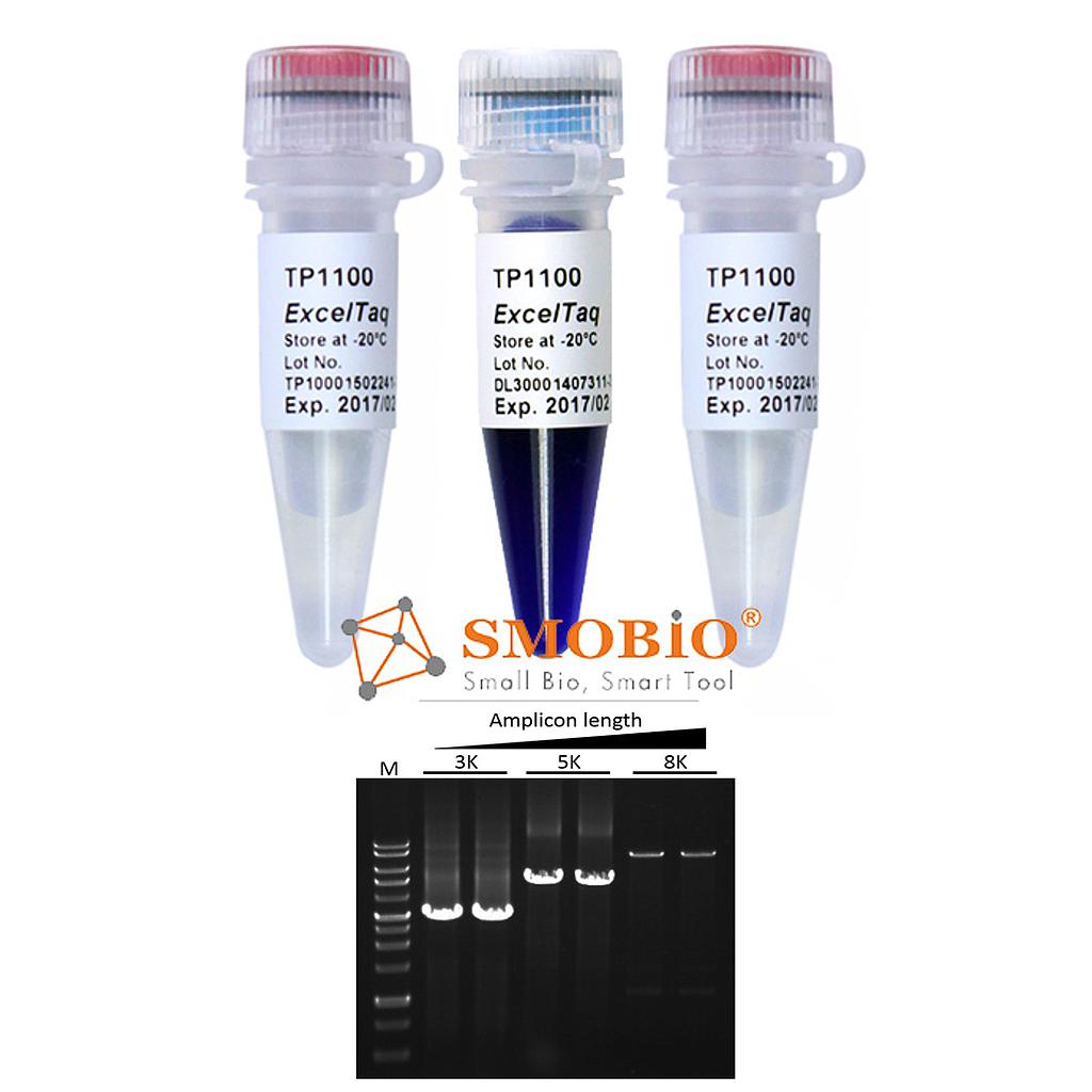 ExcelTaq™ 5X PCR Master Mix, 200 RXN (Buy 10 get 2 free) - smartscience