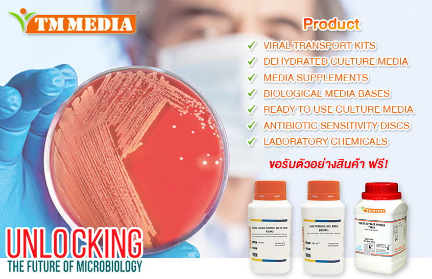 Smart Science Co., Ltd.