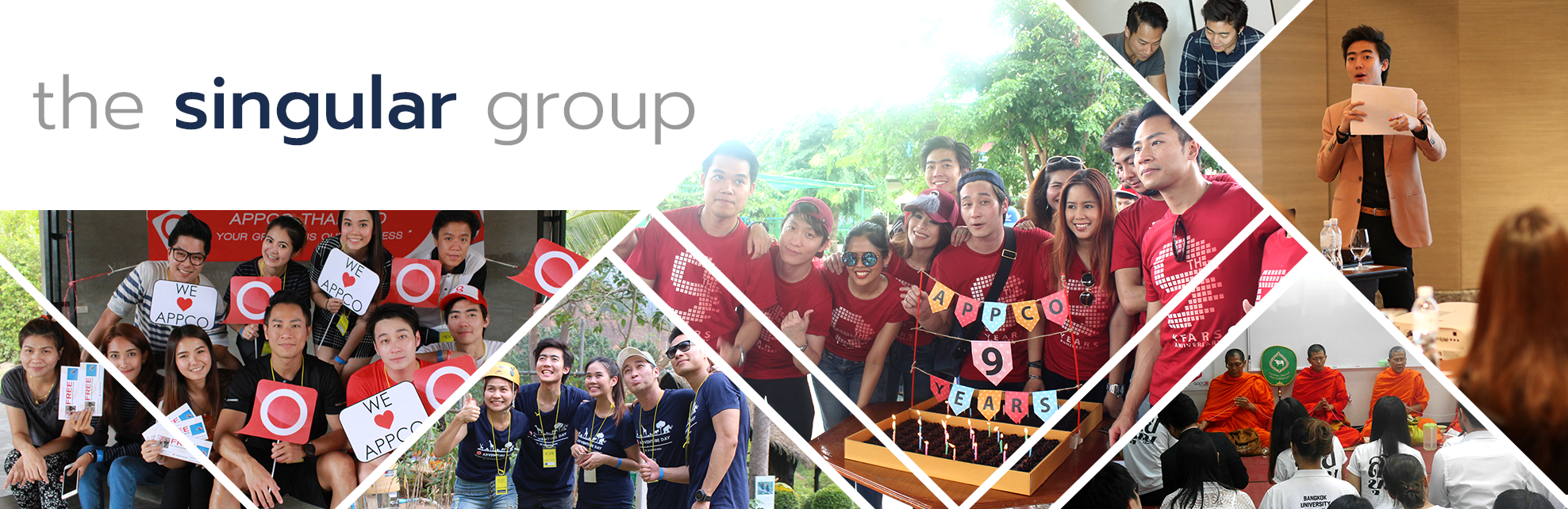 The Singular Group Limited