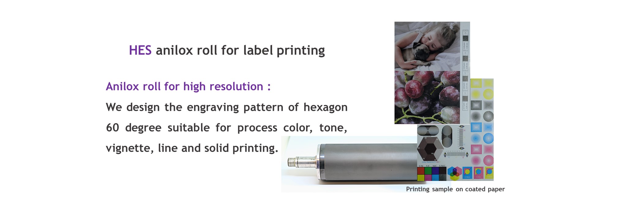 HES Anilox Roll - Flexographic Printing and Coating Solution