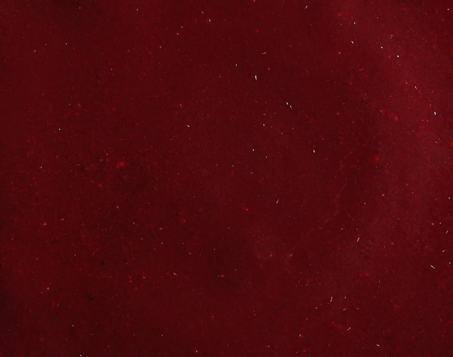 Blueberry Puree 100% : Boiron 1 Kg. - bakeryland