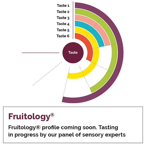 Blueberry Puree 100% : Boiron 1 Kg. - bakeryland